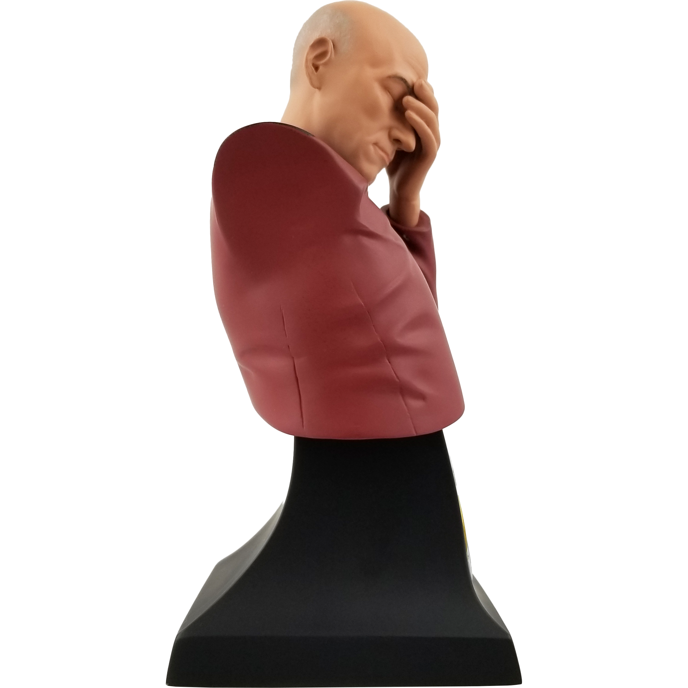 Picard Facepalm Bust Paperweight Star Trek SDCC Exclusive Previews Icon ...